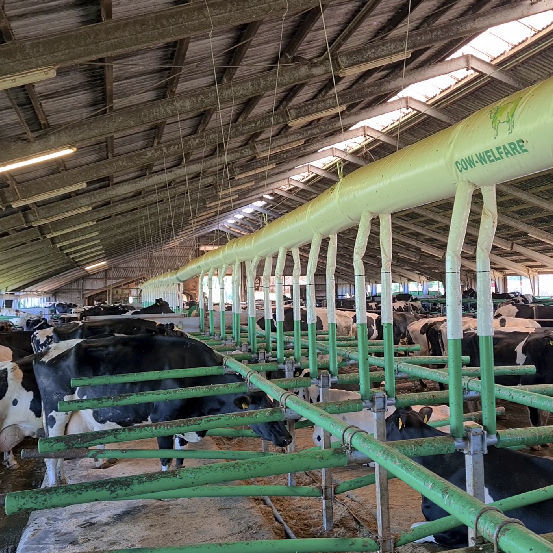 宽度可变牛舍隔栏 - Flex air stall - Cow-Welfare - 小母牛 / 塑料 / 挠性
