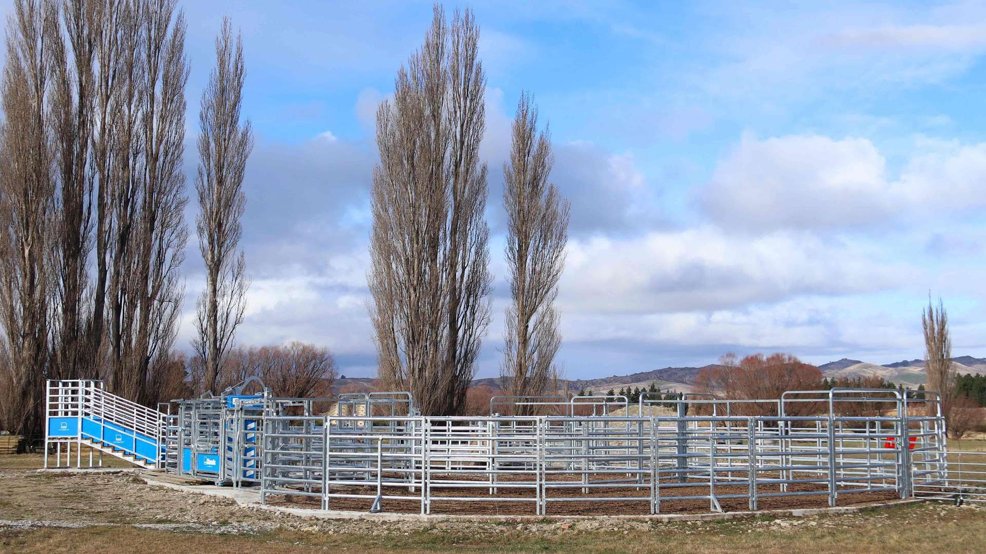 手动牲畜处理系统 - PROFESSIONAL - Te Pari Products Ltd. - 牛