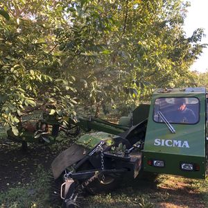 橄榄振动采摘机 - Sicma & MINIAGRI 26.6 Dieci - SICMA Srl - 自走式 / 液压