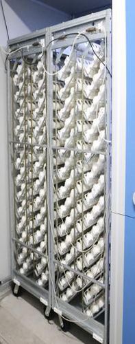 鸭子蛋孵化器 - Platinum 2.0 - Jamesway Chick Master Incubator Inc. - 火鸡 / 母鸡 ...